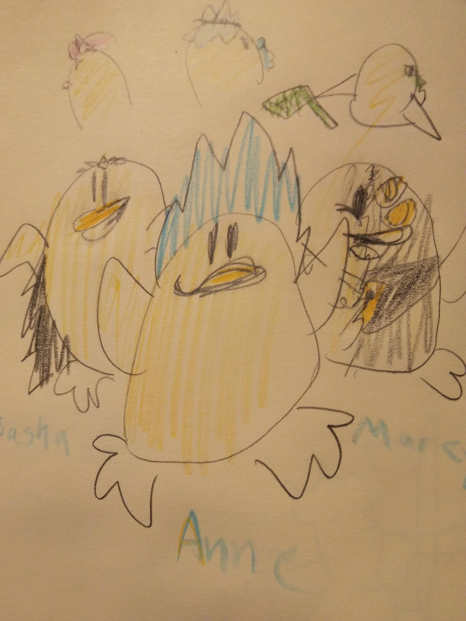 Calimity trio | Fandom