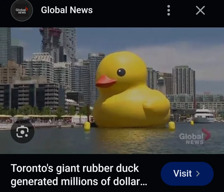 How would you describe the function of a rubber duck? | Fandom