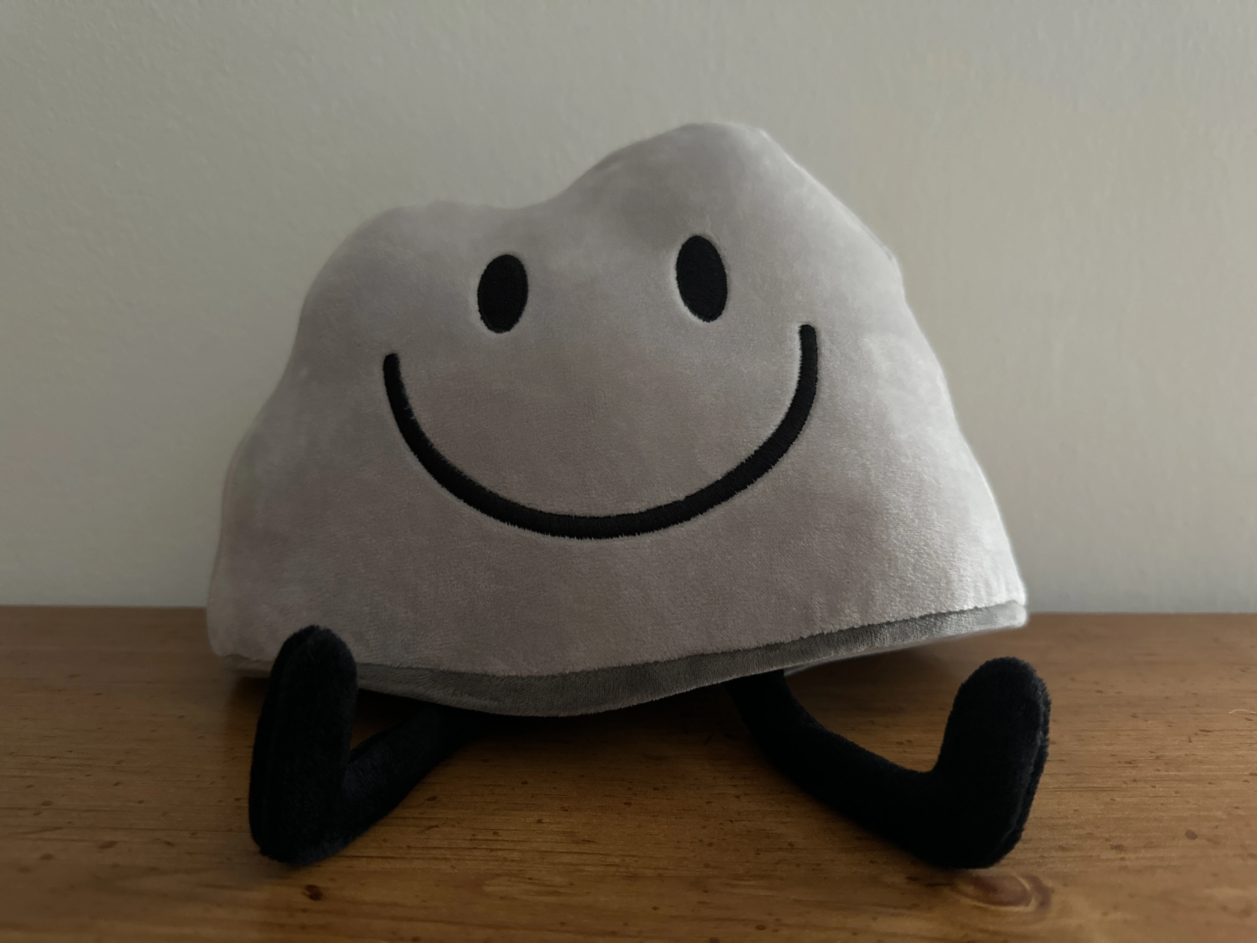 Yay the firey jr. and rocky plushes arrived!!! | Fandom