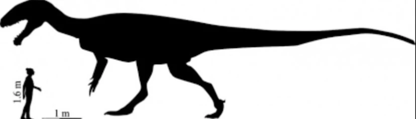 Primitive Theropod Tier 4 Idea | Fandom