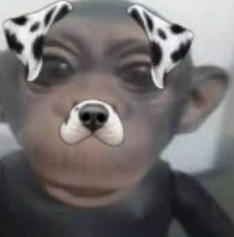 am i wrong? | Fandom