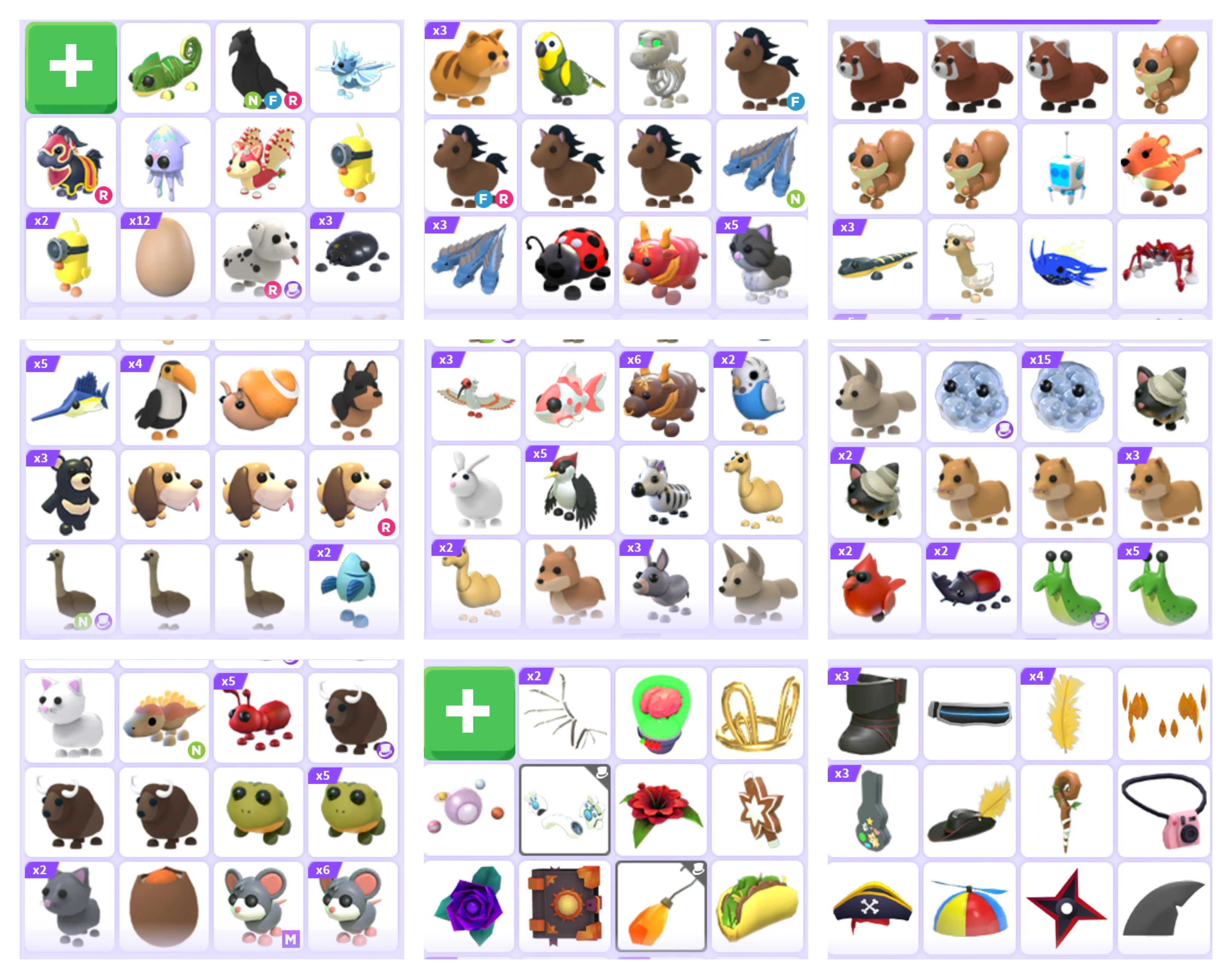 LF neon brown springer spaniel | Fandom