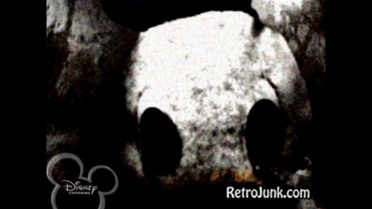 What is the scariest thing you saw in real life? | Fandom