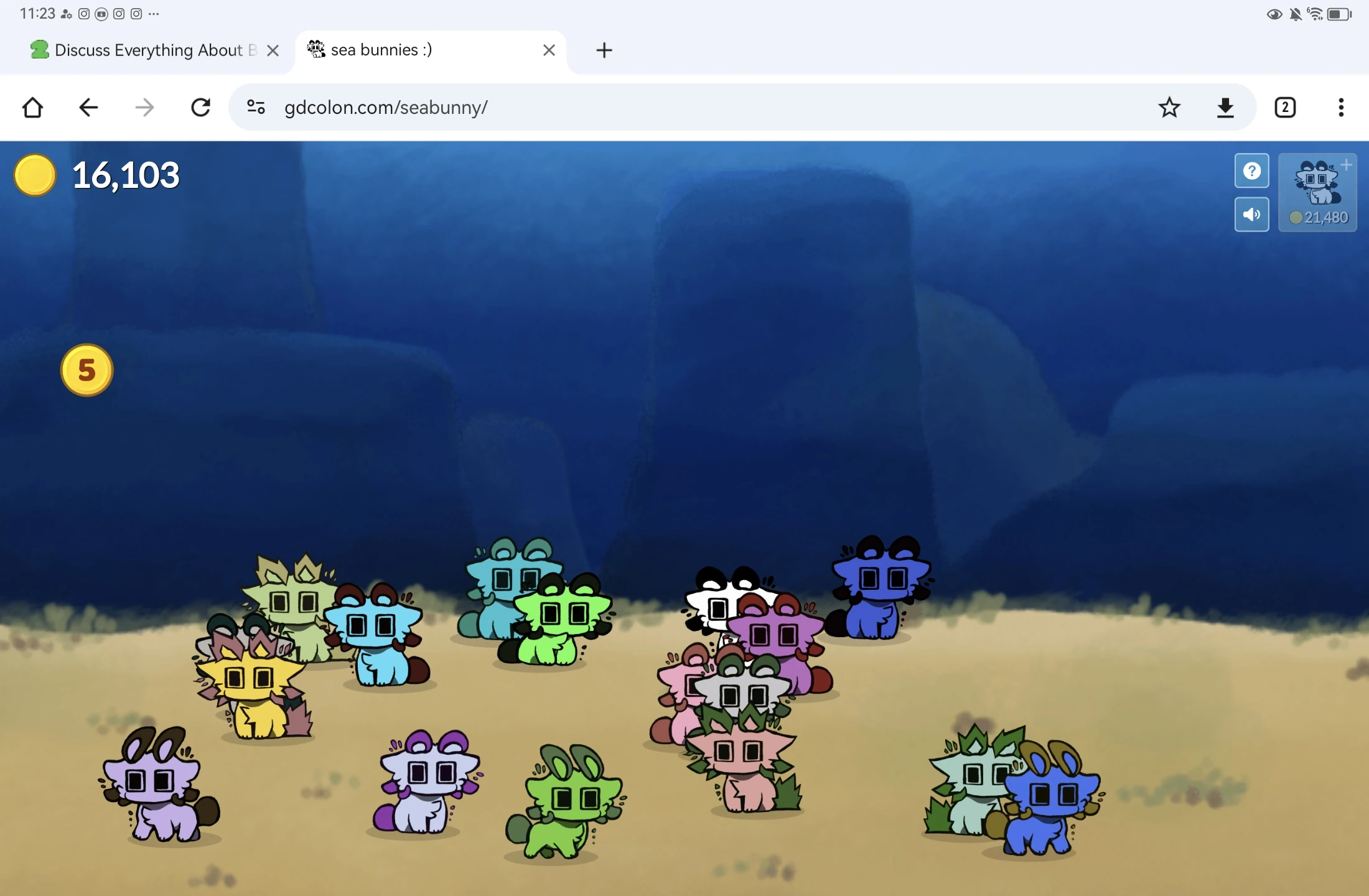 All of my sigma sea bunnies | Fandom