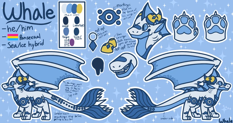 Whale’s ref sheet (REPOST) | Fandom