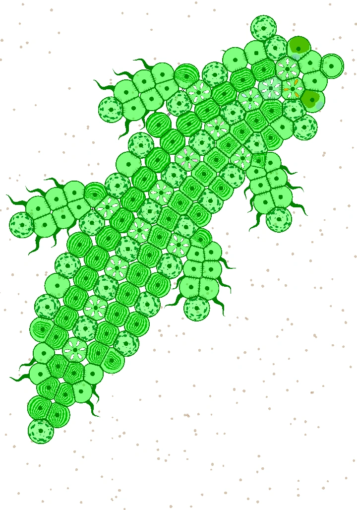 How does wiki Work? | Fandom