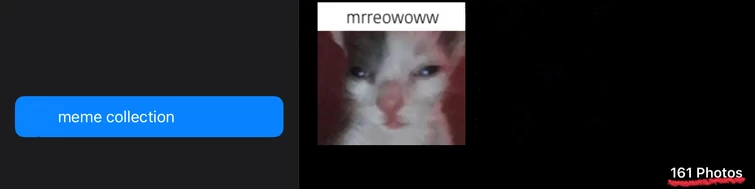 Chat, am I cooked? | Fandom