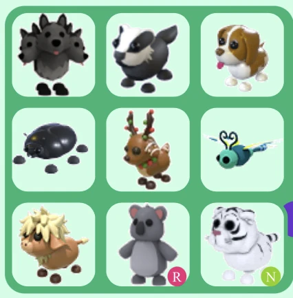 Trading pets and toys | Fandom