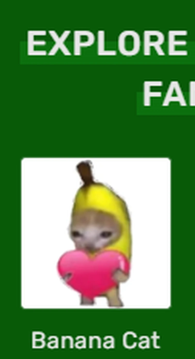 i dont understand | Fandom