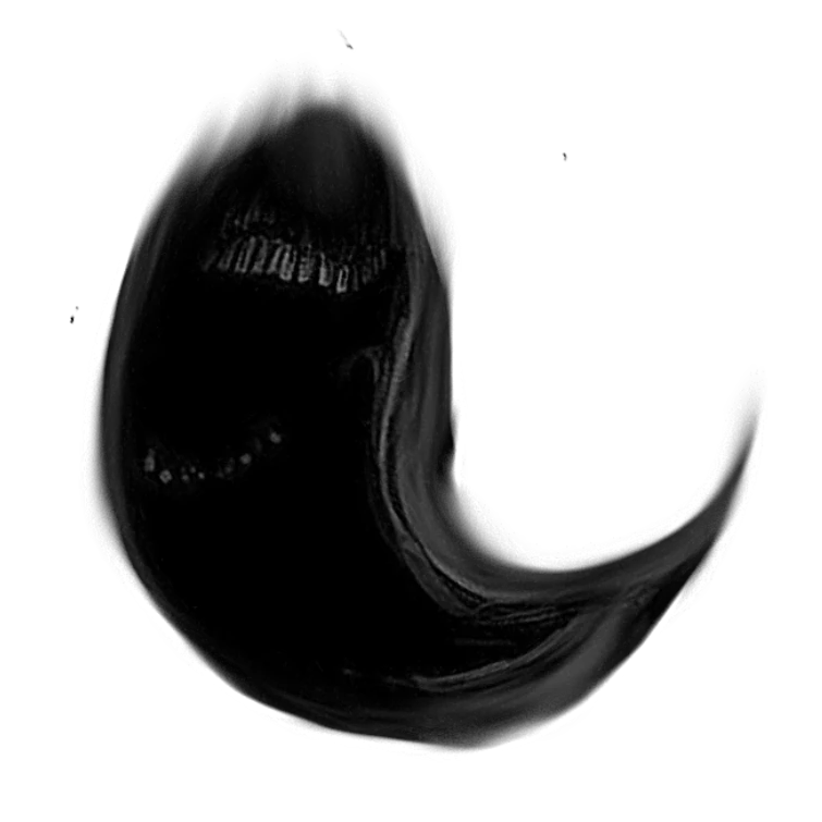 Discuss Everything About Rooms: The Undefined Horrors Wiki | Fandom