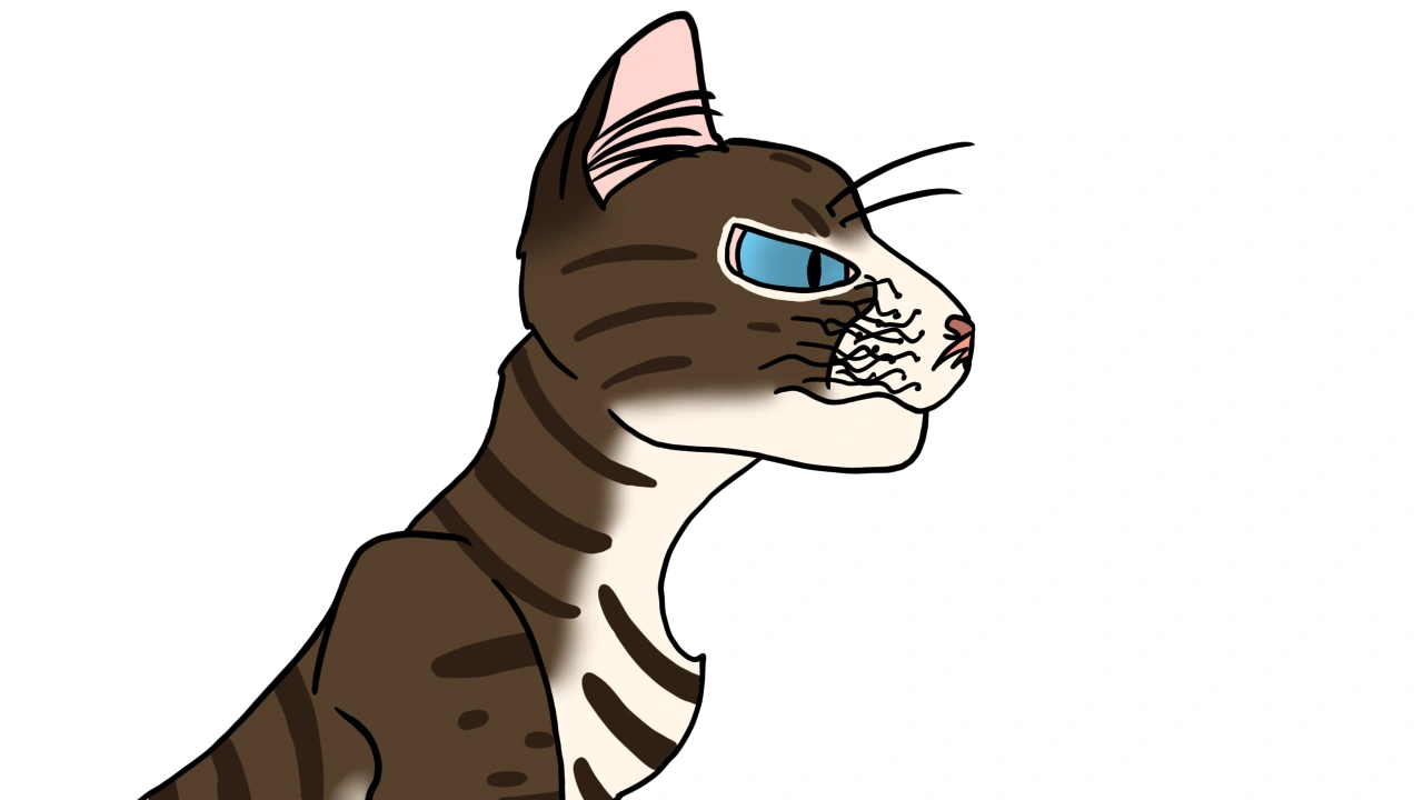 I drew Hawkfrost, any tips on drawing cats? | Fandom