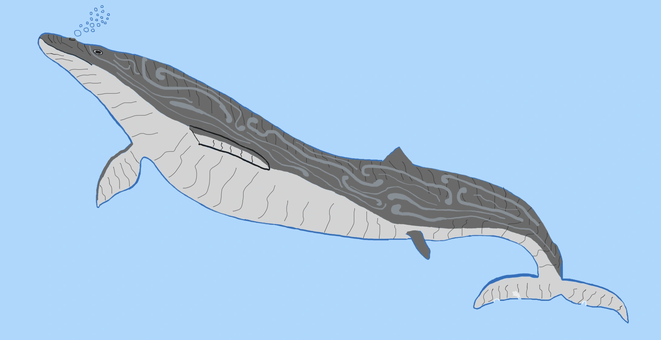 Basilosaurus art. | Fandom