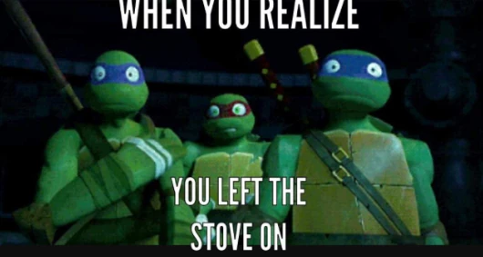 TMNT Meme Of The Day | Fandom