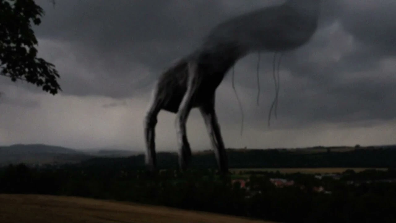 "Fall Down" | Fandom