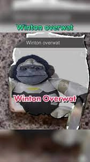 WINTON WENDAY WHAT WINTON SHALL I UE (no letter after r) | Fandom