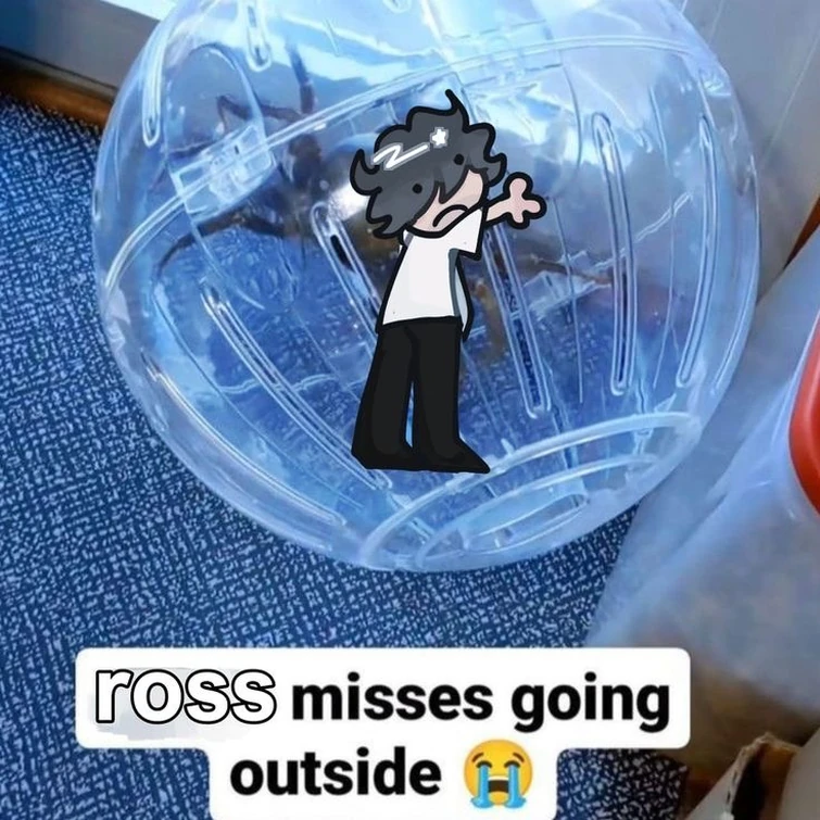 POST YOUR STUPIDEST/FUNNIEST IMMAGES | Fandom