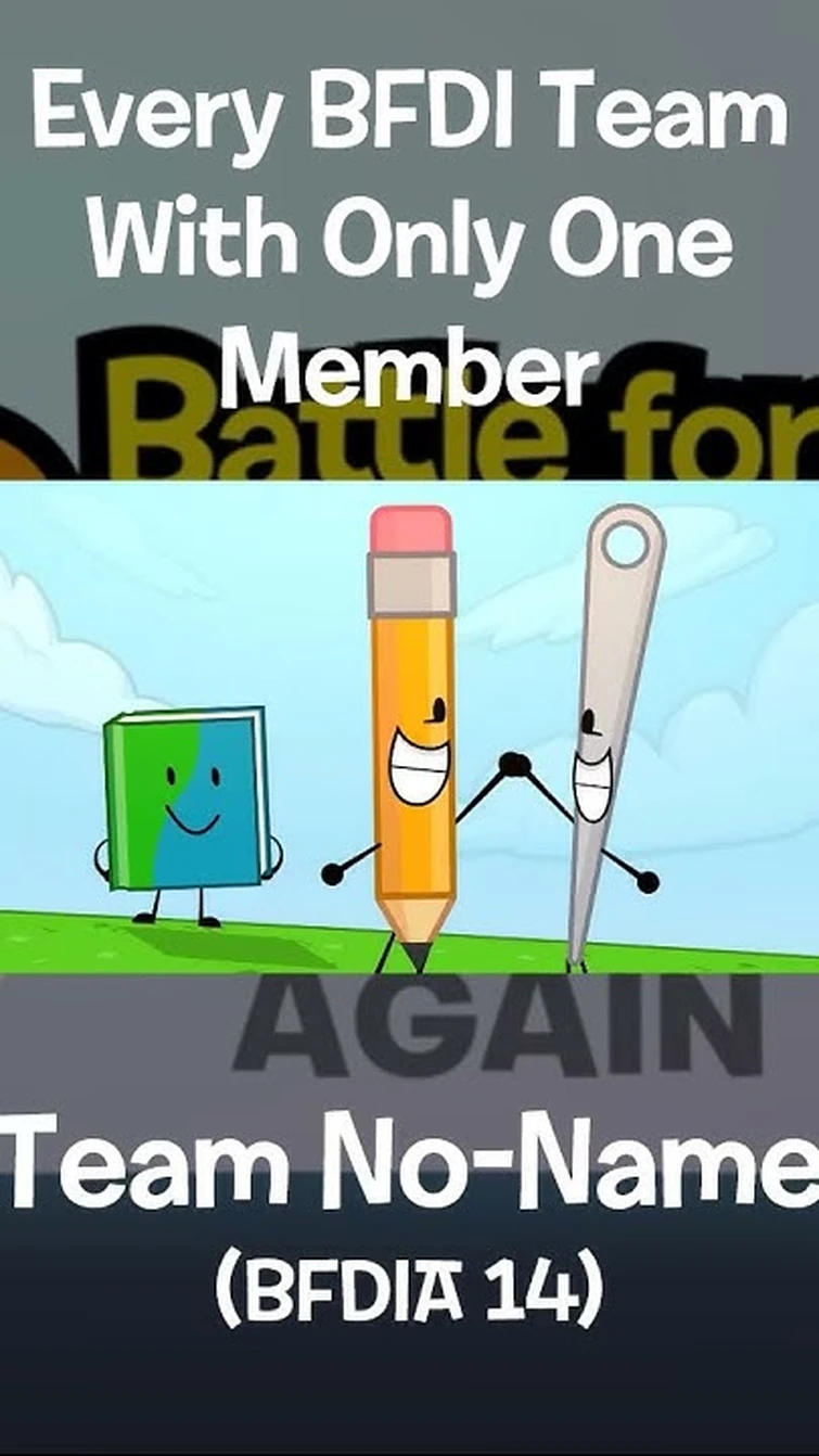 every BFDI team with one member | Fandom