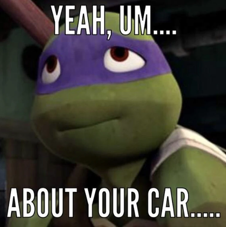 TMNT Meme Of The Day | Fandom