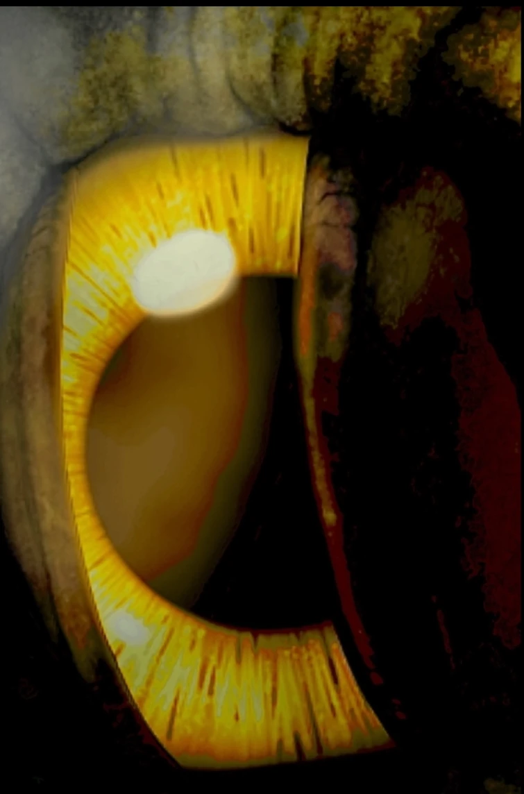 A edit of the colossal’s eye/Una edición del ojo colosal | Fandom