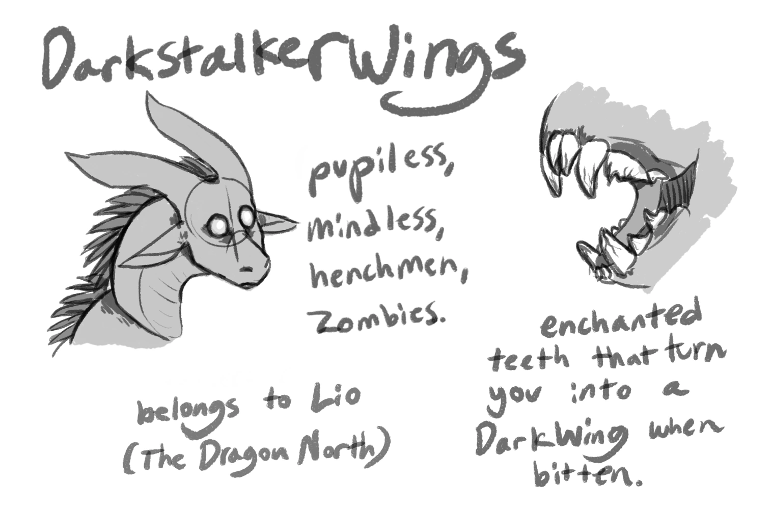 The Night Kingdom! Mini exploration of darkwing lore | Fandom