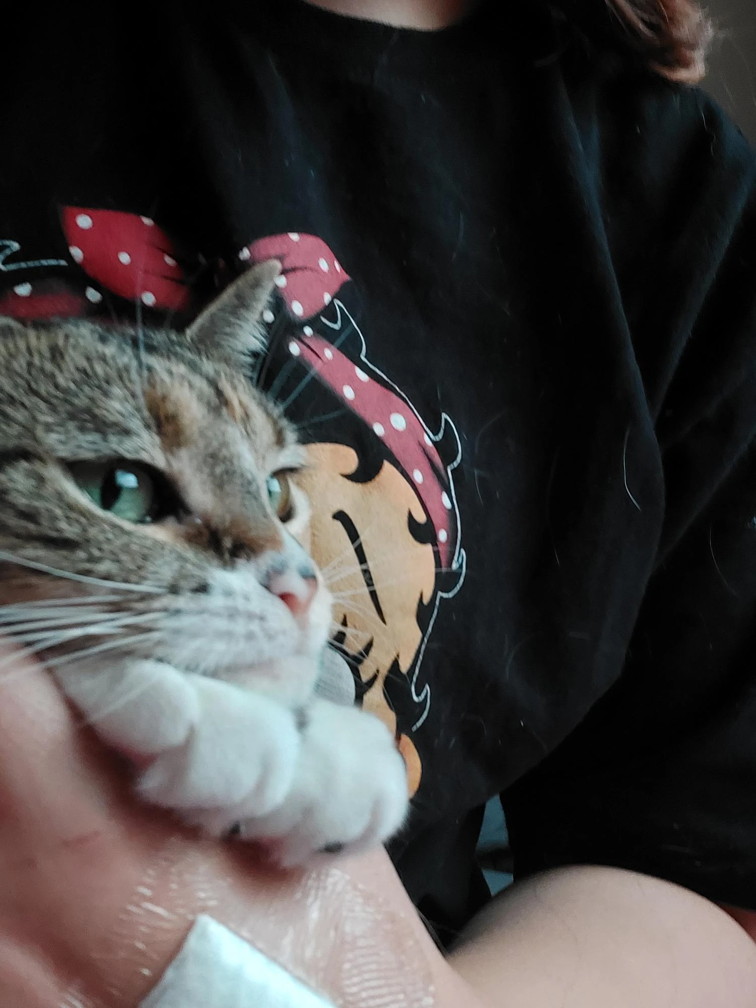 Stupid Kat/hj | Fandom