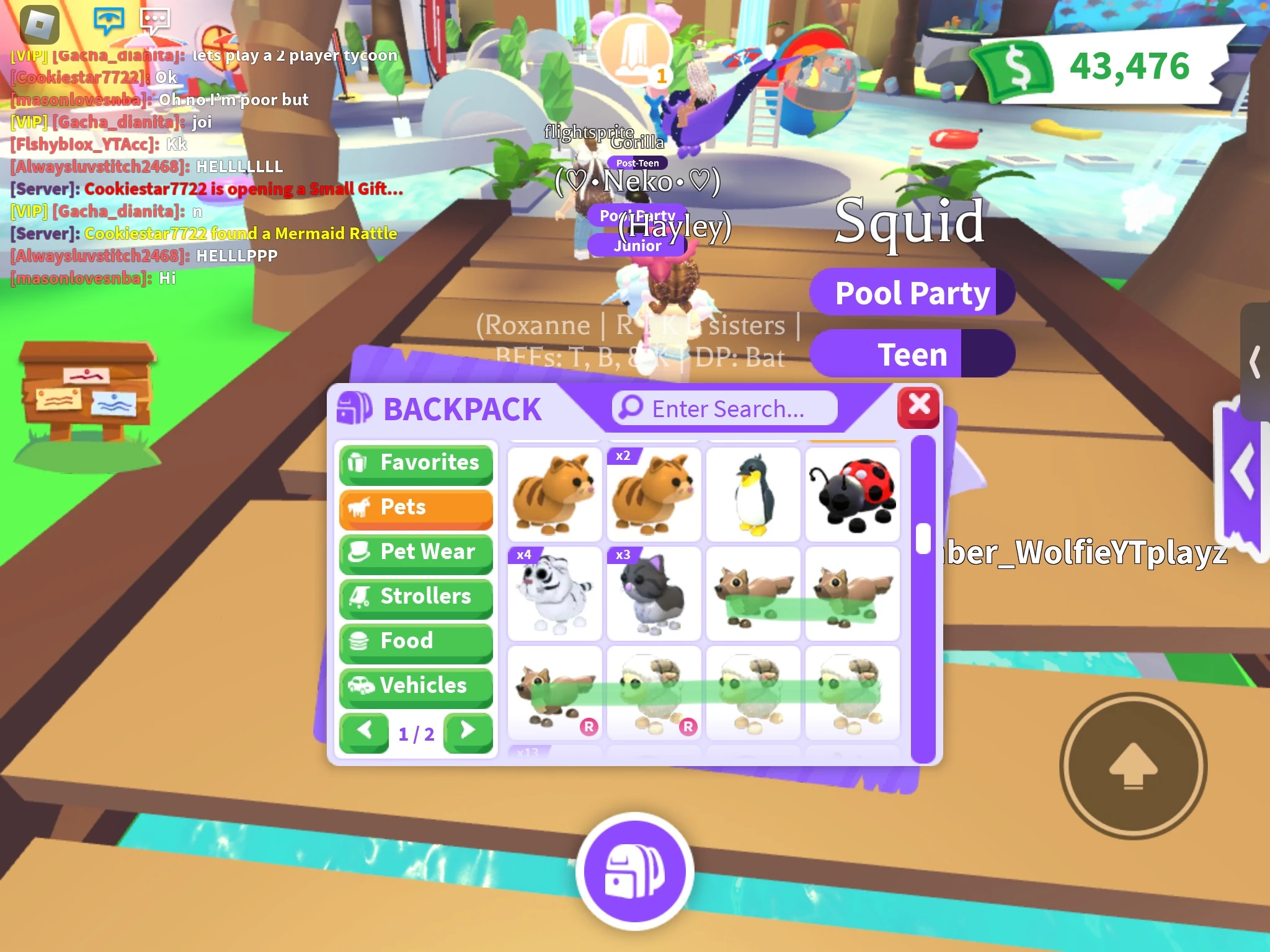 Lf: amami rabbits! | Fandom