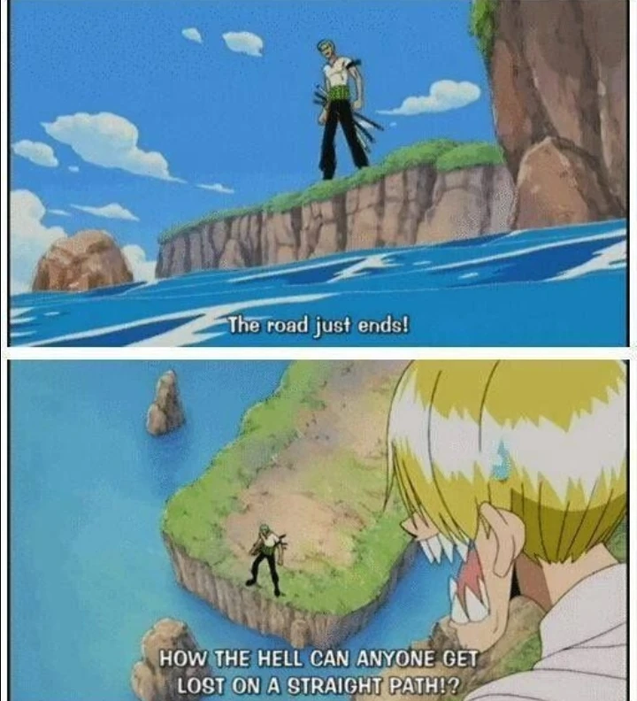 Zoro The Lost Samurai | Fandom