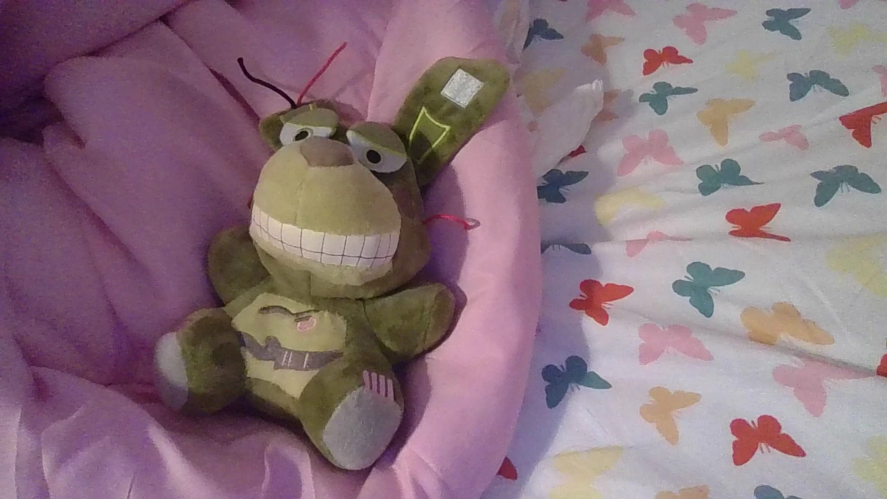 Take a picture of your SpringTrup plush here! | Fandom