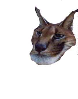 transparent troll floppa | Fandom