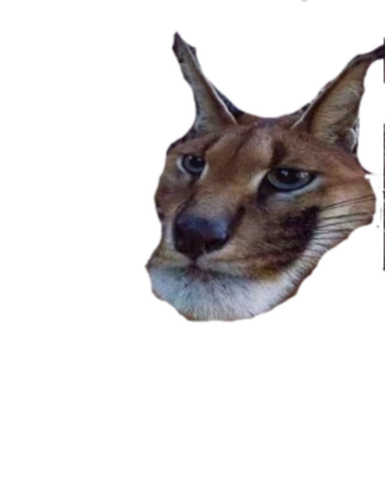 transparent troll floppa | Fandom