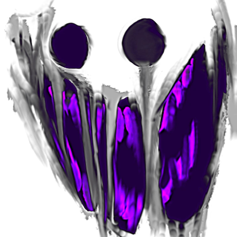 v-383 remake | Fandom