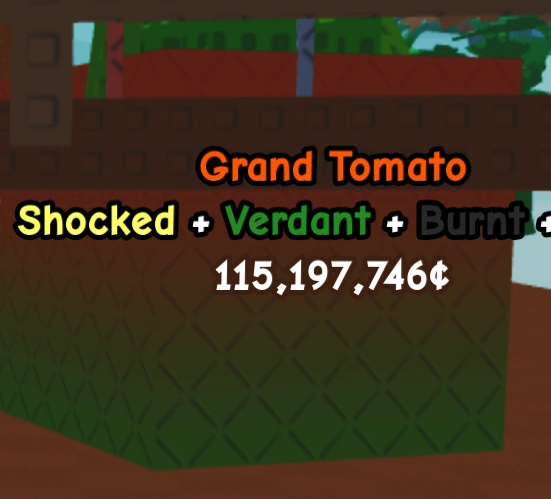 Is This A Good grand tomato? | Fandom