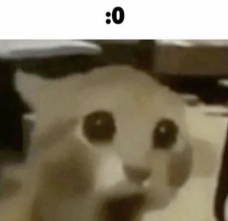 Rate the gc | Fandom