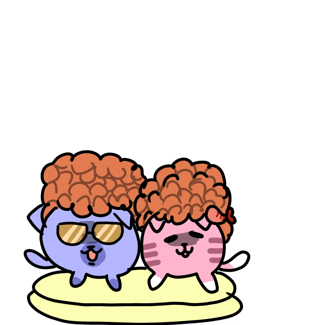 Roe cat is watching you | Fandom