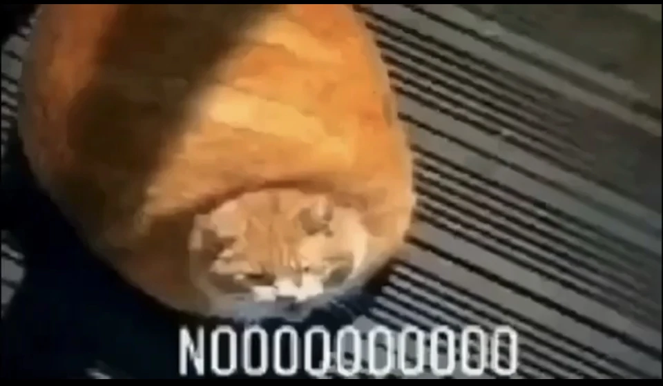 NO, I DONT WANNA BE BREAD | Fandom