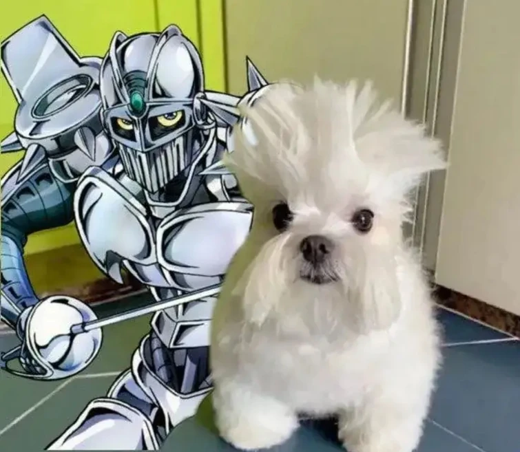 Something about Polnareff as a dog | Fandom