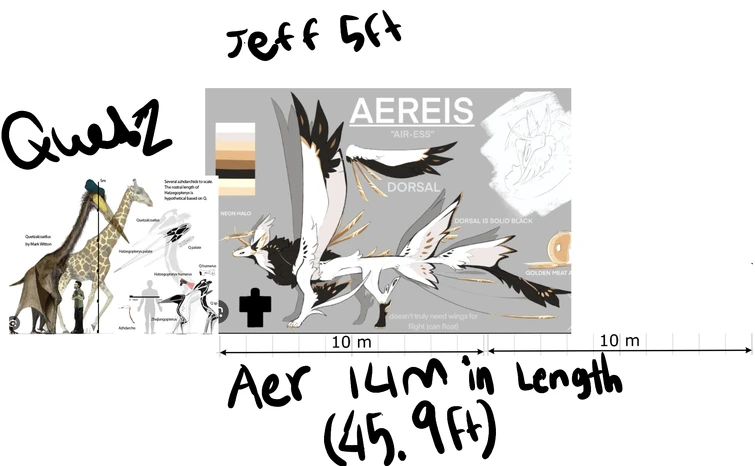 Aereis compared to Quetzalcoatlus | Fandom