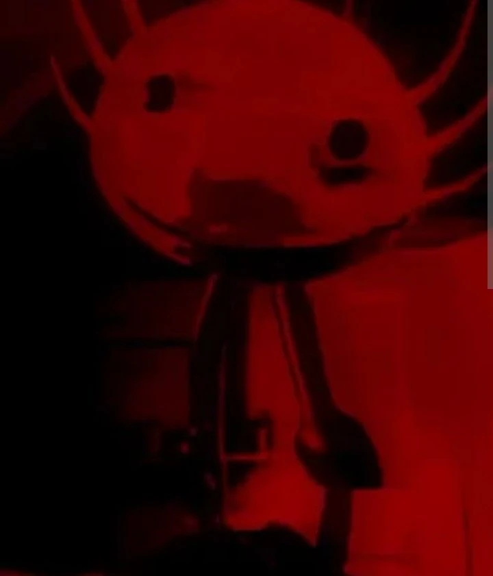 The Big Red. | Fandom