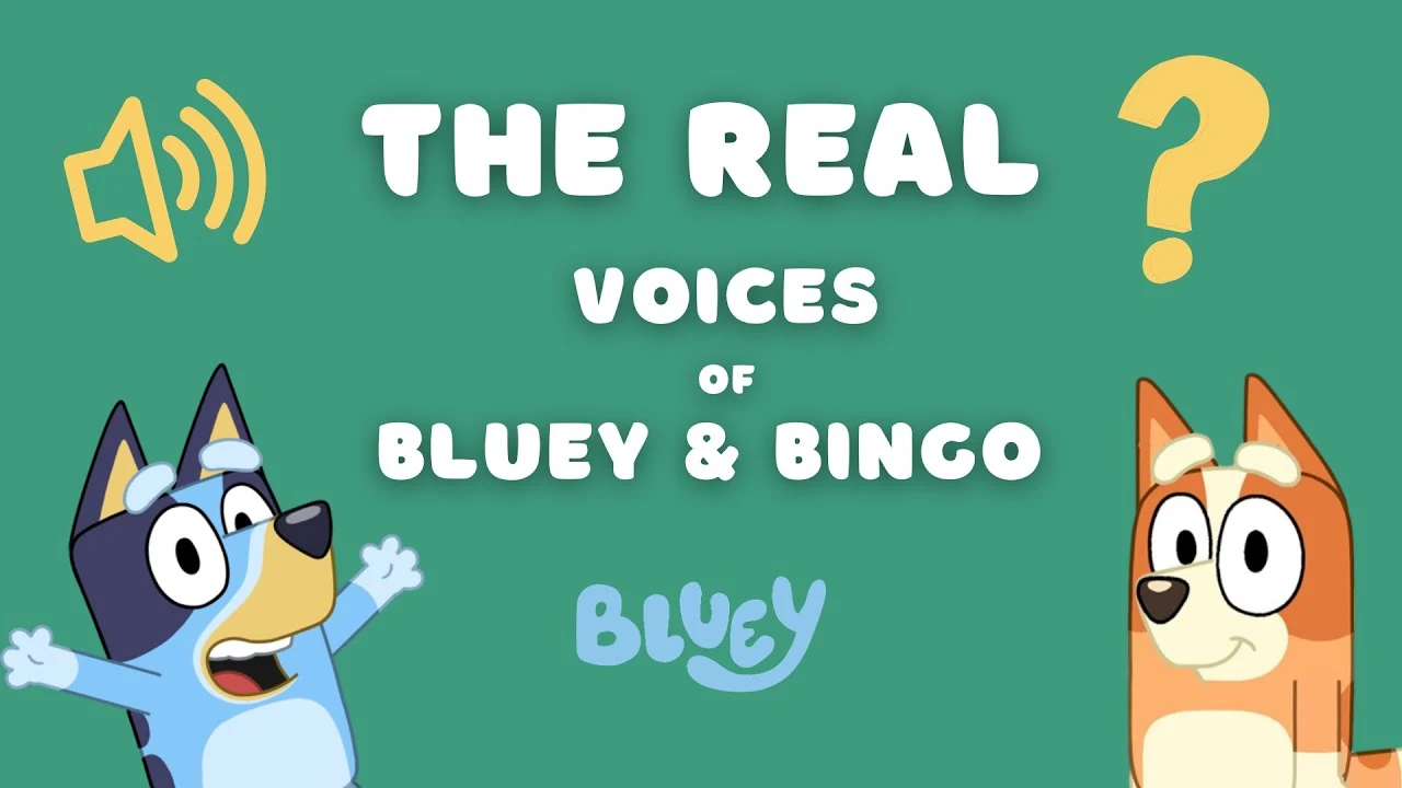This is how Bluey & Bingo voices could sound | Fandom