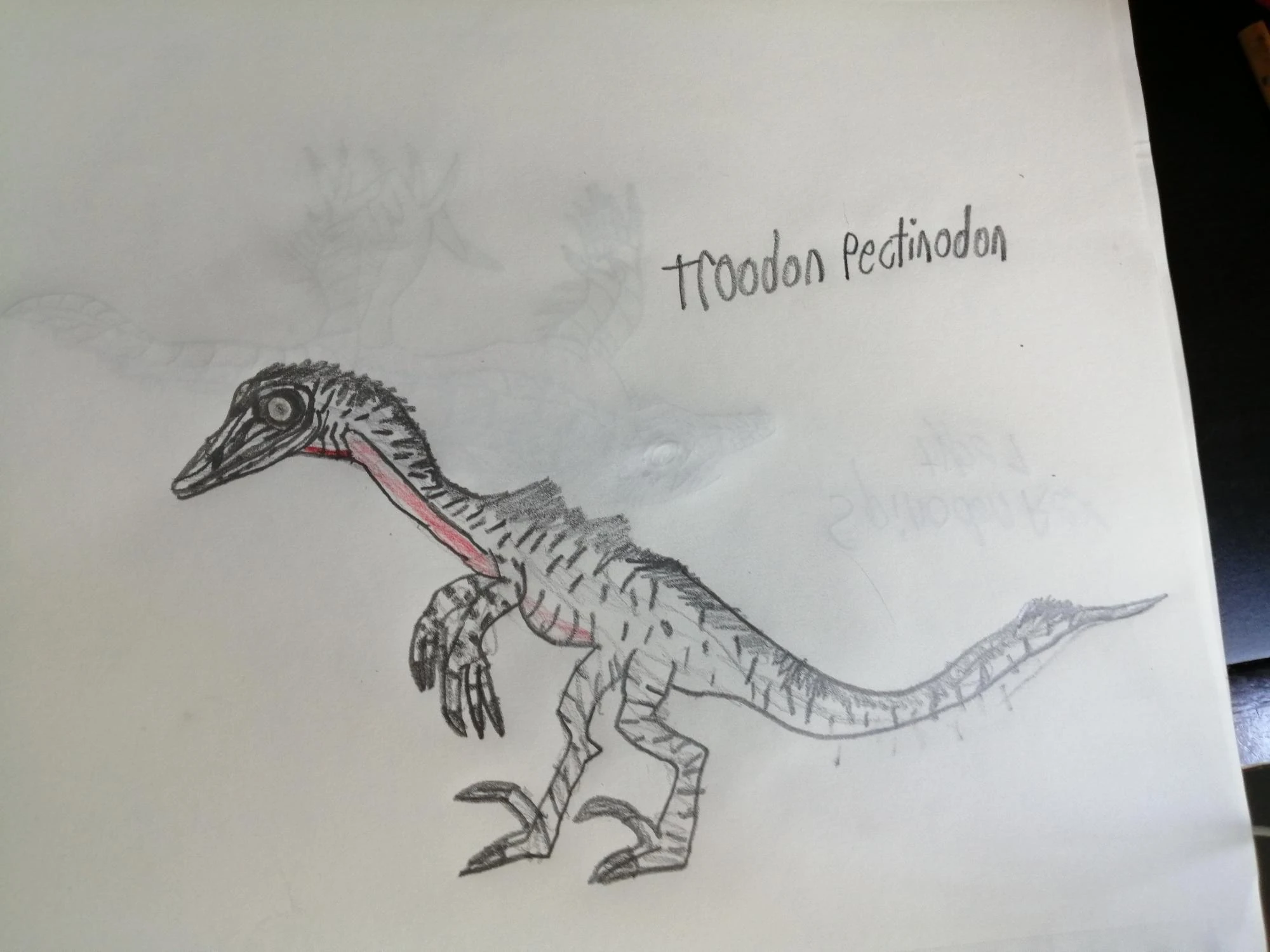 Troodon pectinodon | Fandom