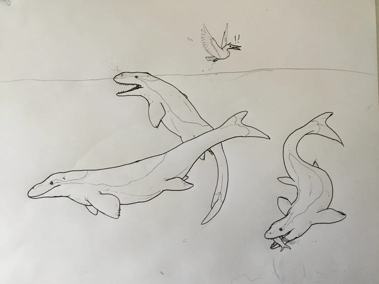 Prognathodon | Fandom