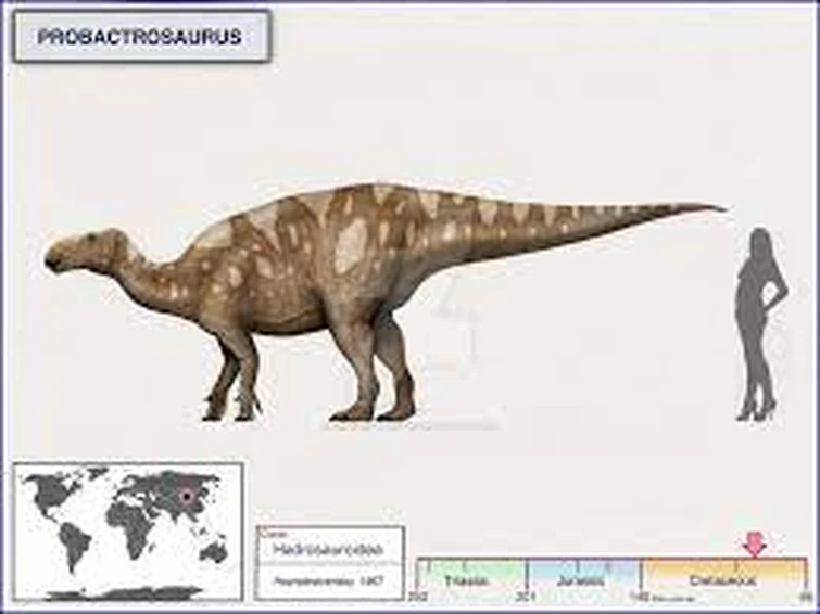 Let Us Just Appreciate This Dude | Fandom