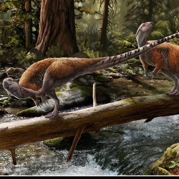 Discuss Everything About Dinopedia | Fandom