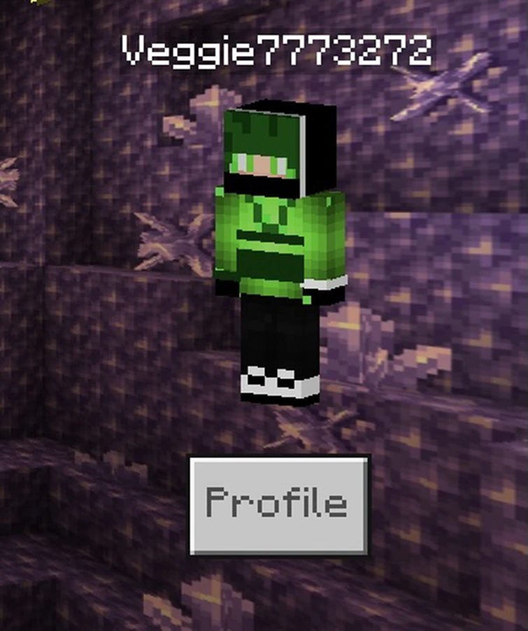 And my Minecraft | Fandom