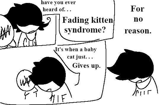 fading kitten syndrome | Fandom