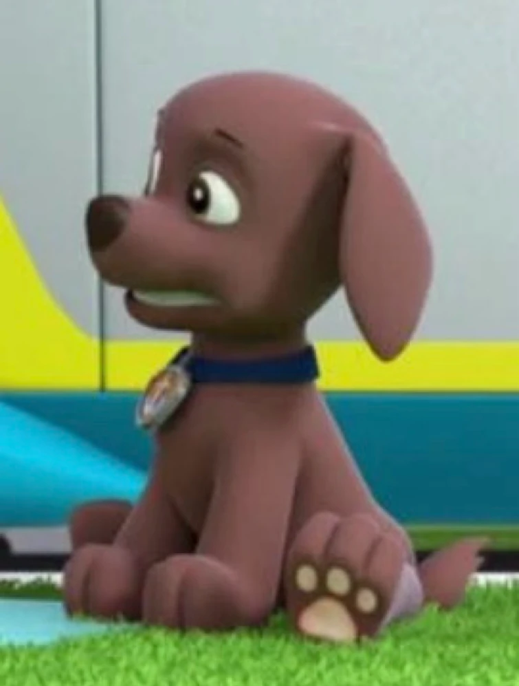 Zuma Sitting | Fandom