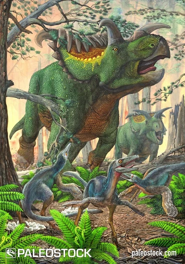Discuss Everything About DINOSAUR BATTLE WORLD CHAMPIONSHIP(VERSION 2 ...