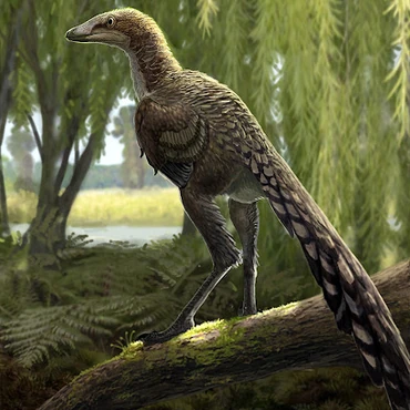 Discuss Everything About Dinopedia | Fandom