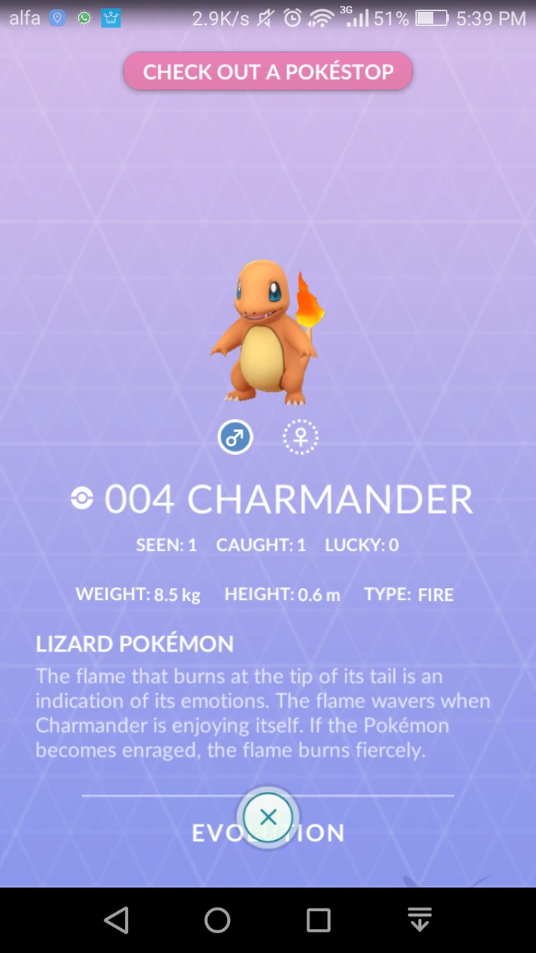 Caught my first pokemon(pokemon go game) | Fandom