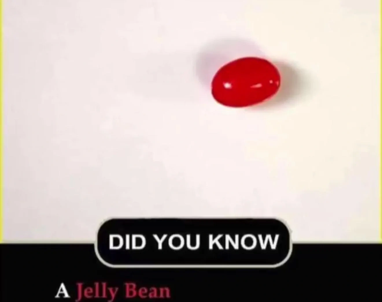 i didn't know a jelly bean | Fandom